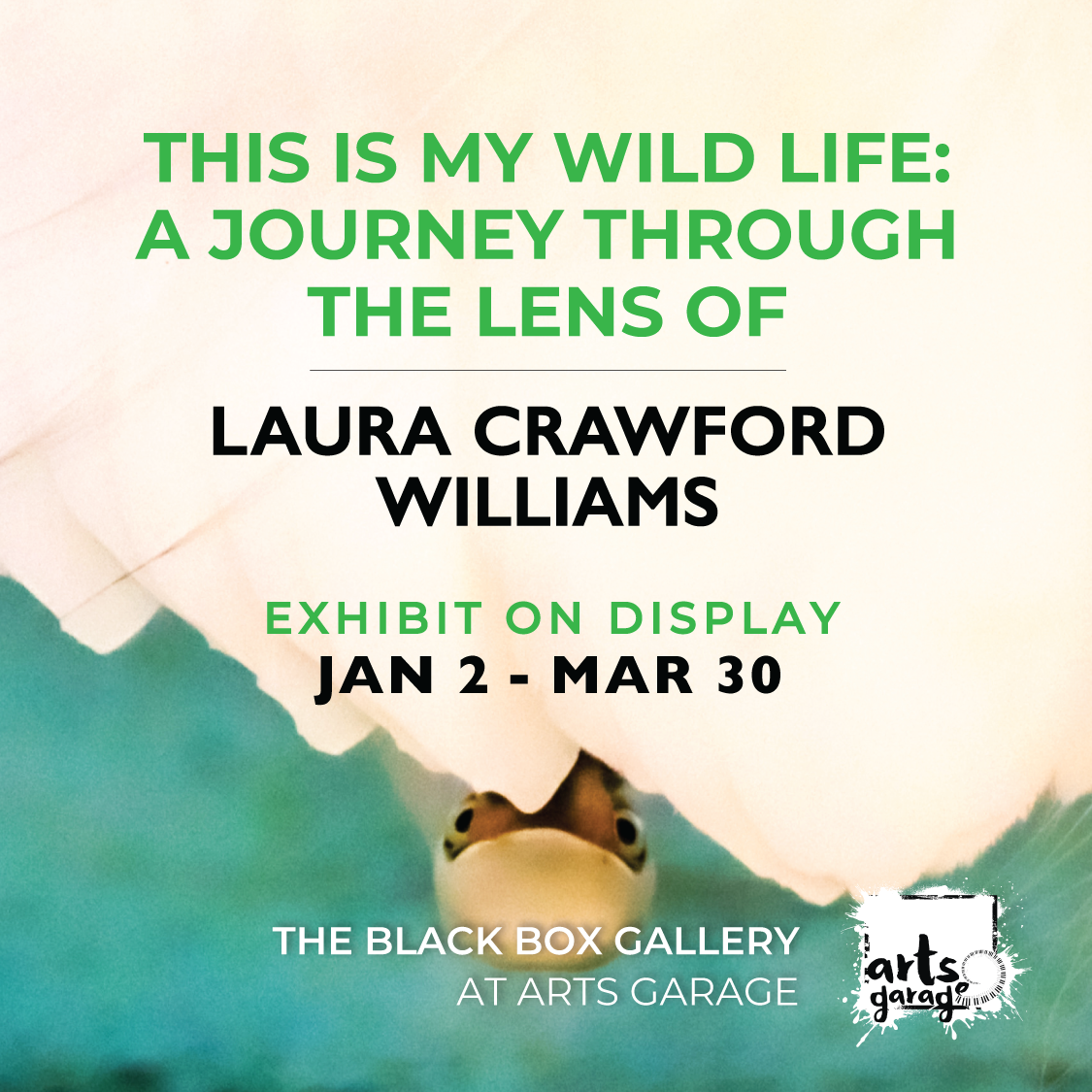 This is My Wild Life: A Journey Through the Lens of Laura Crawford ...
